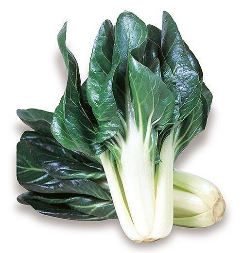 piante di bietola barese