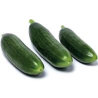 Piante di cetriolo da sottaceto