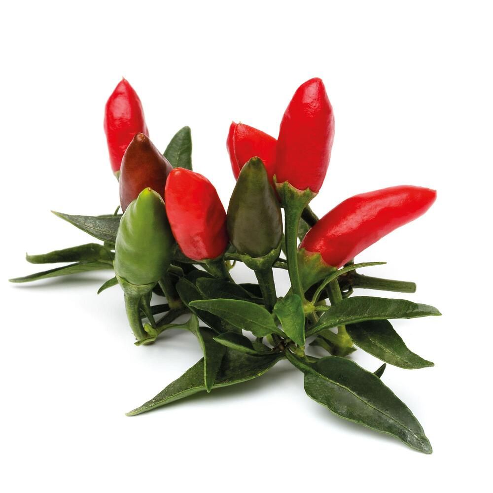 Peperoncino piccante diavolicchio calabrese