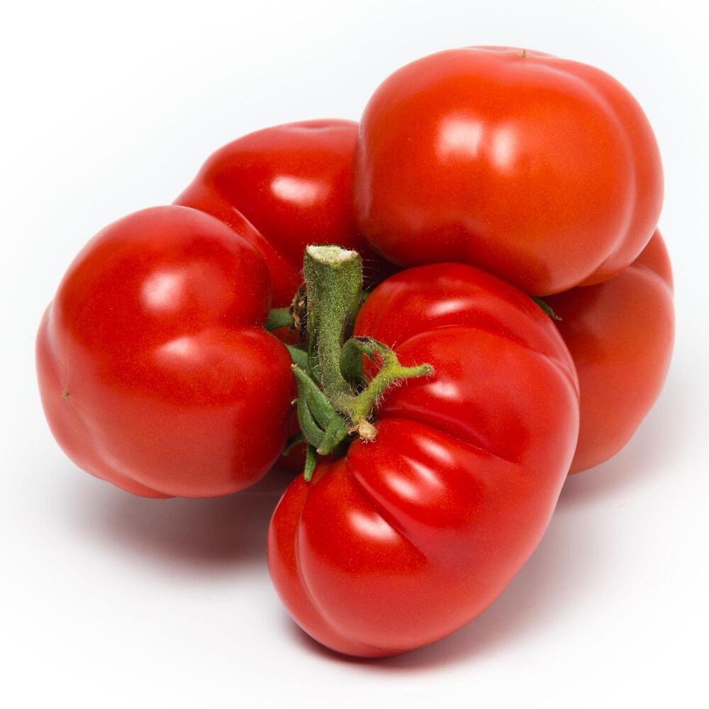 produzione piante di pomodoro or patataro
