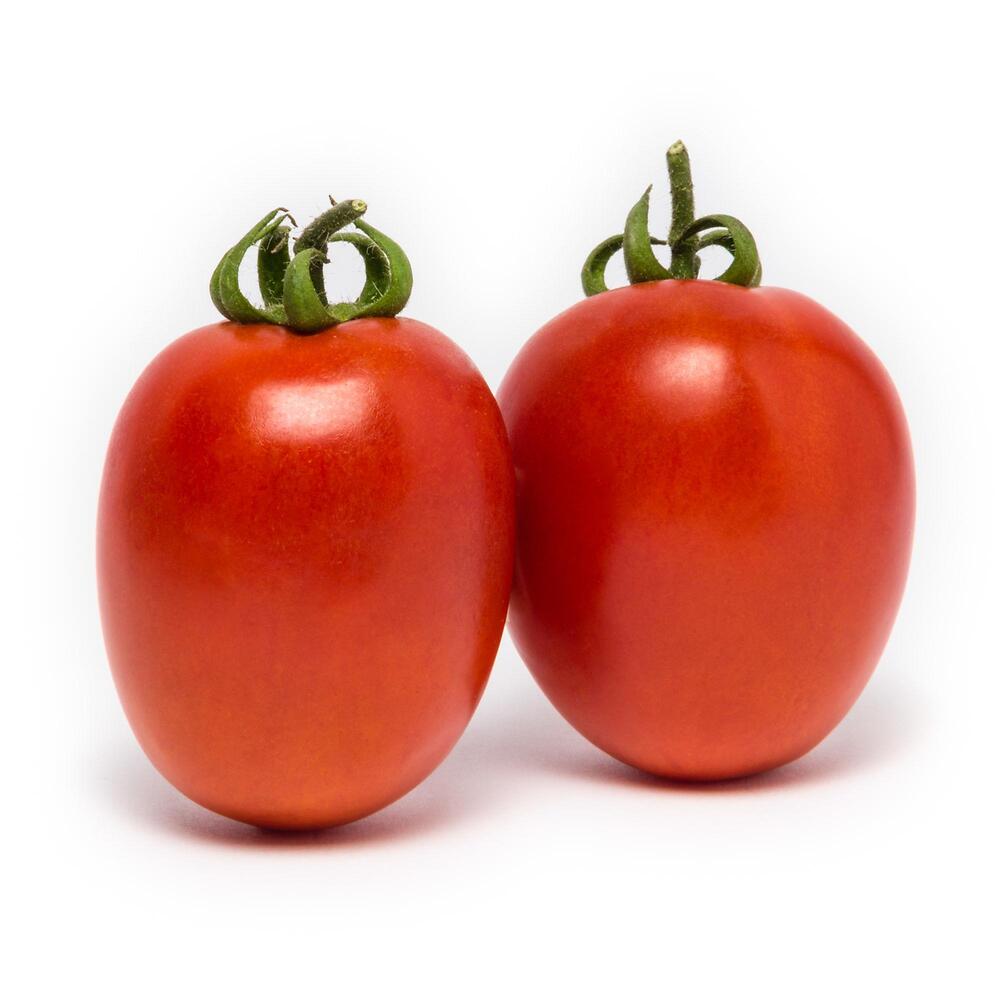 Piante di qualità superiore di pomodoro per salsa Rio Grande