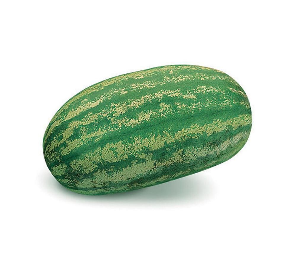 Piante di anguria ovale allungata