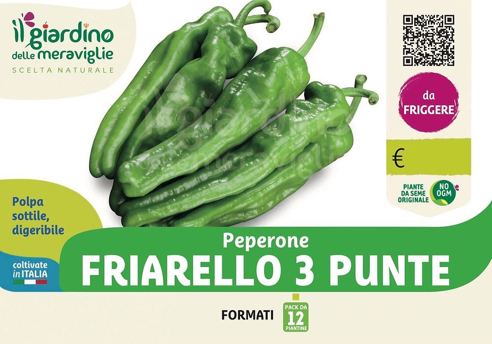 Produzione piante di peperone friarello
